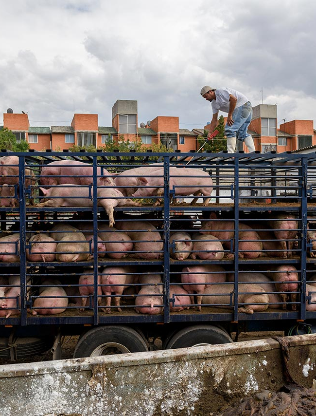 Index of /wp-content/uploads/2022/12